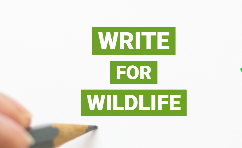 Write Wildlife Content - Give Wildlife a Brake